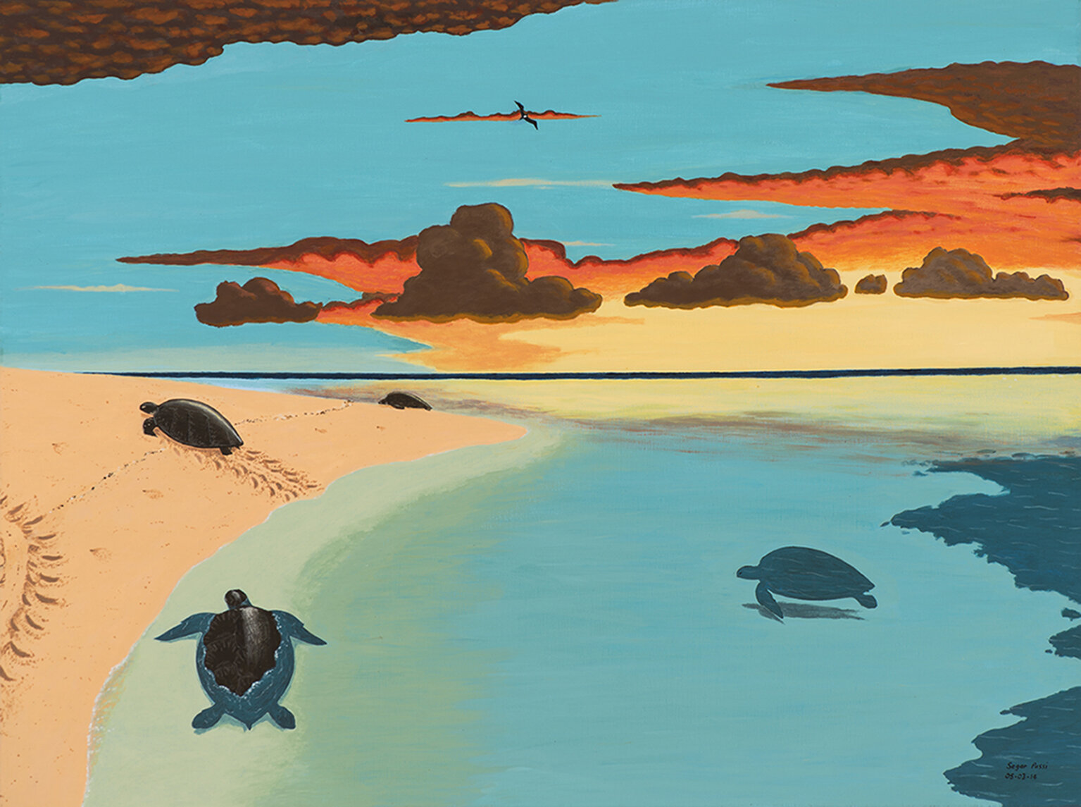 Turtles By Segar Passi - Painting - Cairns Art Gallery
