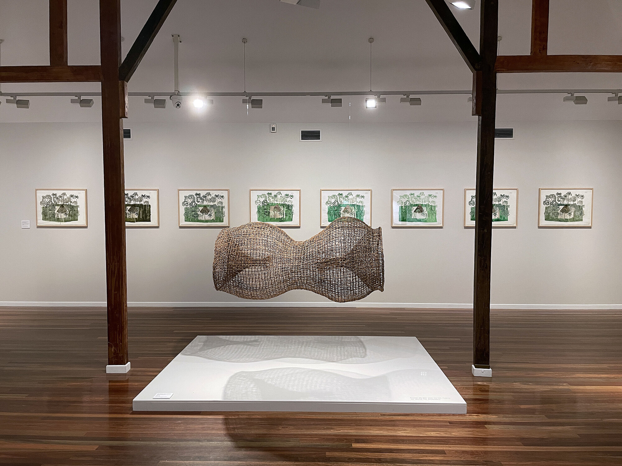 Images from the Flooded Rainforest - What's On - Exhibitions - Cairns ...